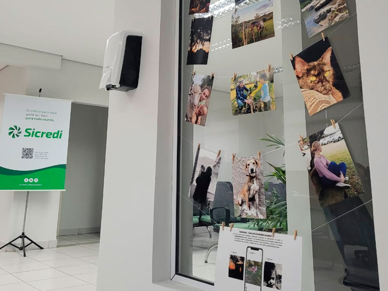 Exposição fotográfica estará disponível em diversos pontos de Morro ...