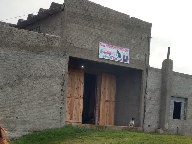 ONG Morena Flor abre vagas para contratação em Canguçu | Jornal ...